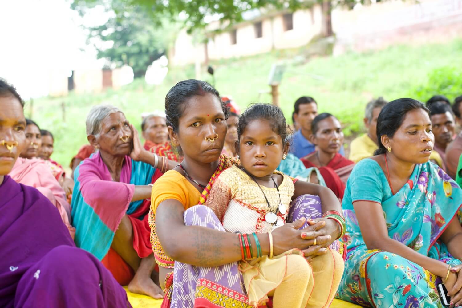 Odisha Tribal Empowerment & Livelihoods Programme - Gram Vikas