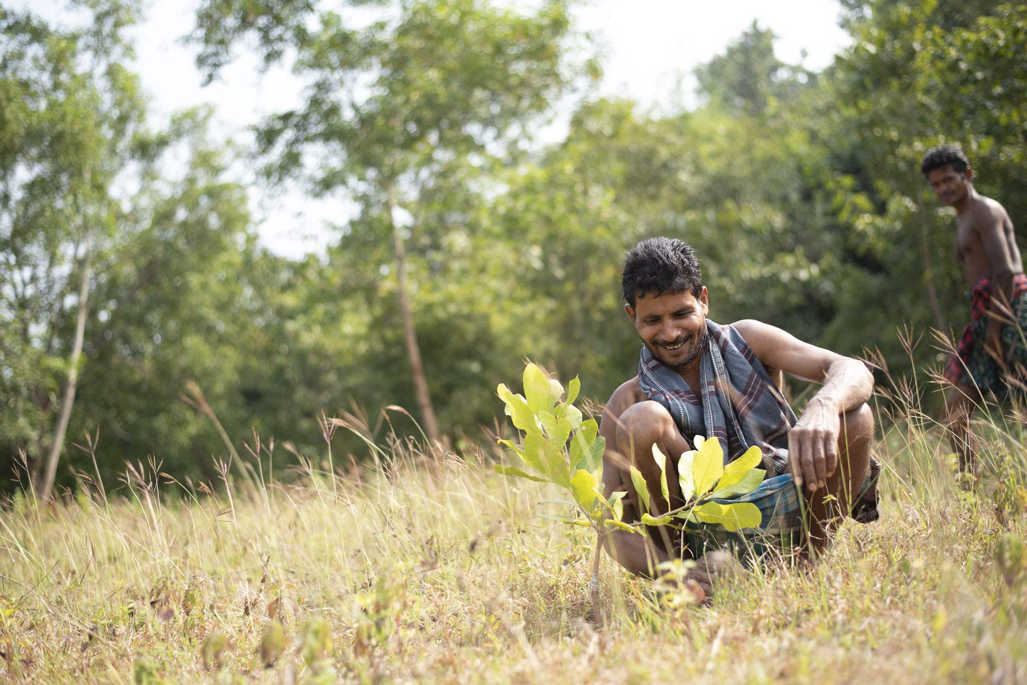 Community-owned forestry to help tribals reclaim their forests and ...