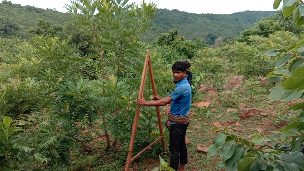 Kantabanji village models grassroots climate action in reviving springs ...